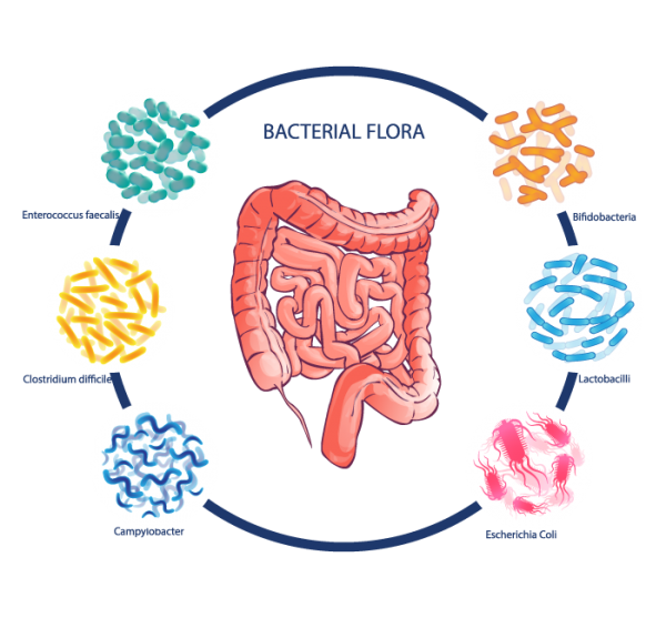 Home | BIOM Probiotics