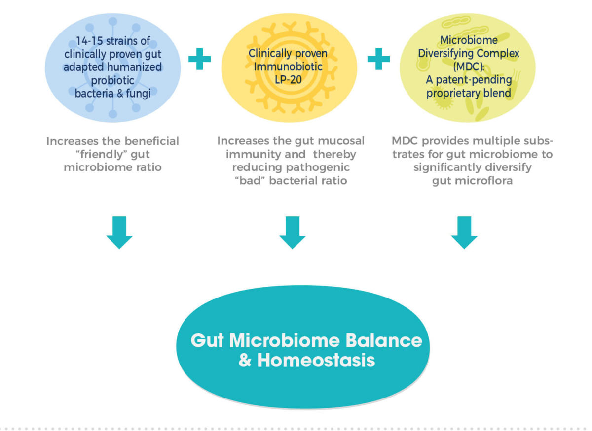 Healthy Balanced Microbiome - Human Microbiome - Biom