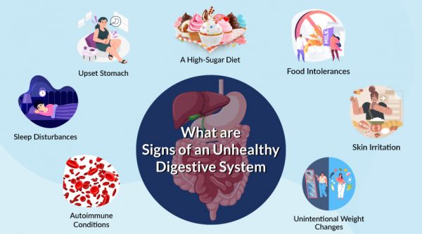What are signs of an unhealthy digestive system? - Biom Probiotics