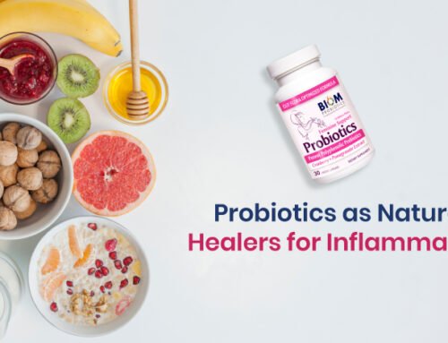 Superfoods for Gut Health: Your Complete Guide | Biom Probiotics