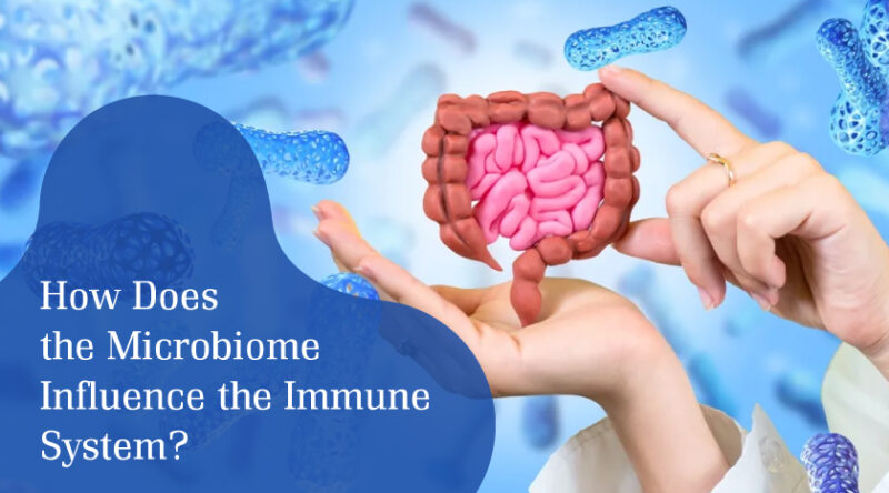 How the Microbiome Shapes Your Immune System's Health
