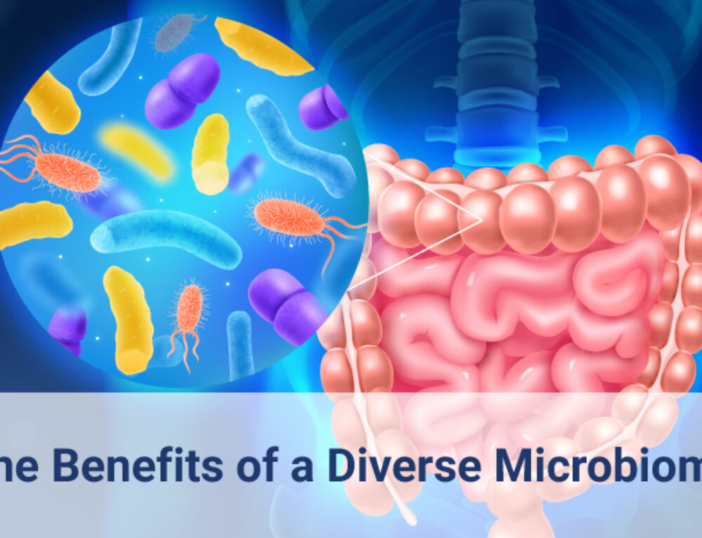 Microbiome-Directed Foods | Biom Probiotics - Brings Healthy Life