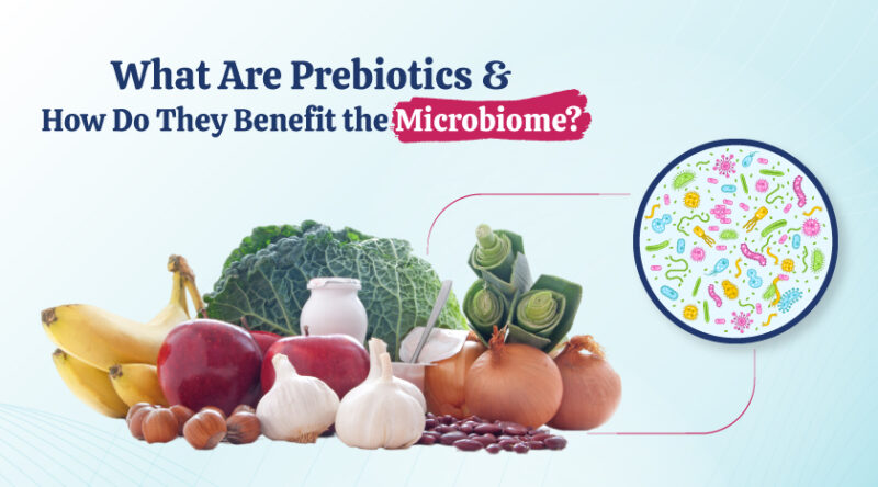 Prebiotics and Microbiome: Key Benefits for Your Digestive Health