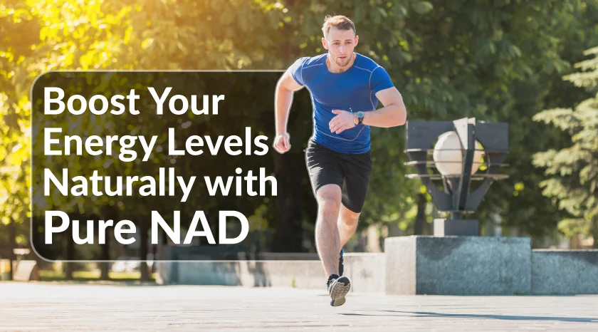 Microbiome & Health Digest Posts | Biom Probiotics