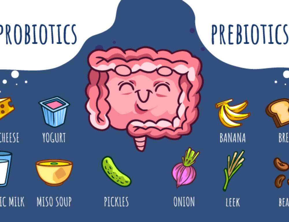 6 Signs You Need Probiotics - Biom Probiotics