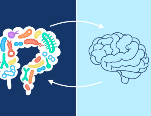 Find the Secrets: How Your Gut's Diversity Battles Obesity!